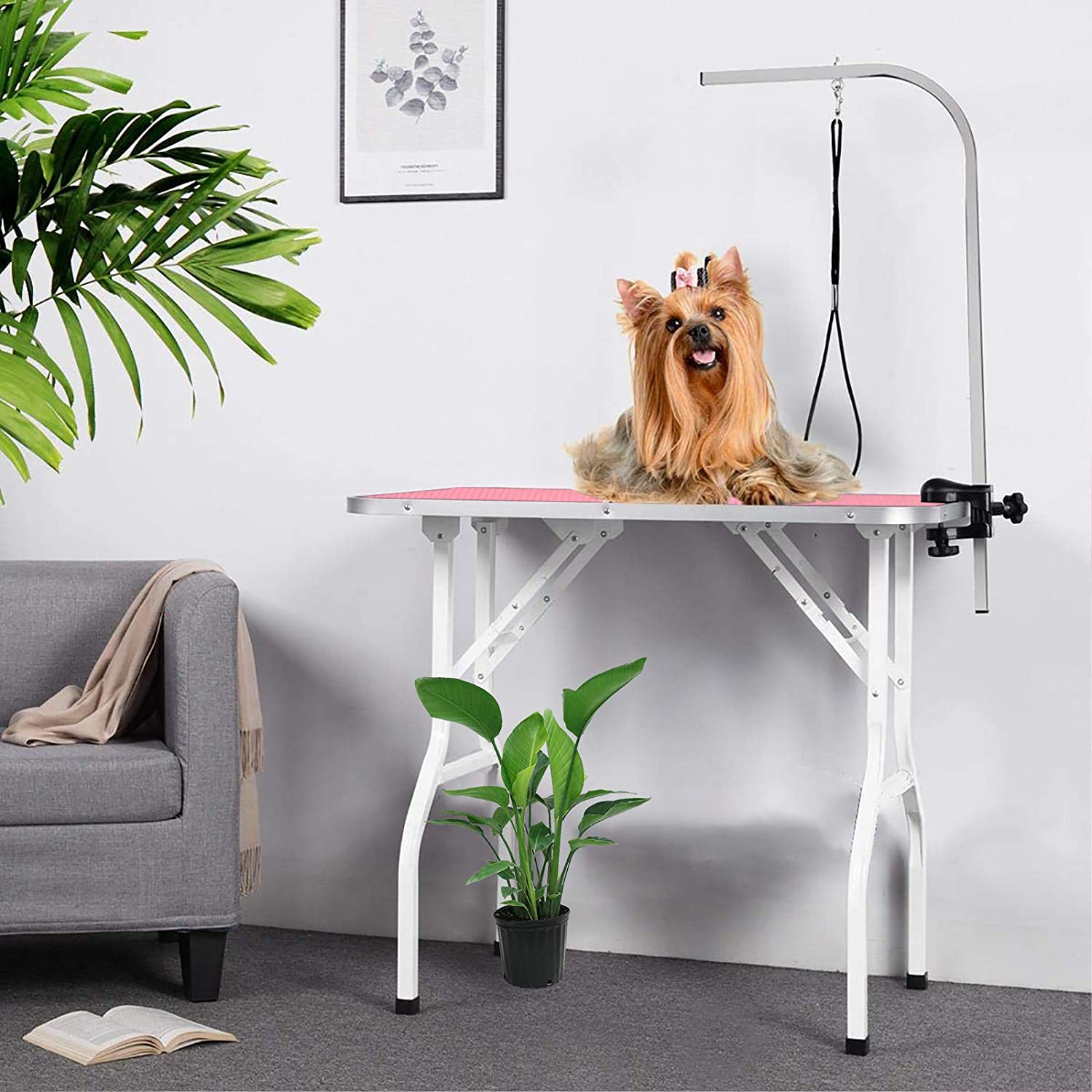My ️ 7 Best Foldable Grooming Tables for Small Dogs - Shih Tzu Paradise